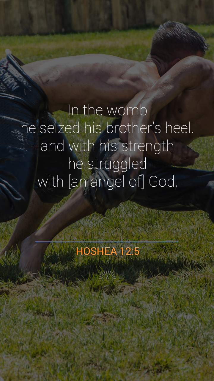 Hosea Chapter 12 | Daily Holy Bible Reading
