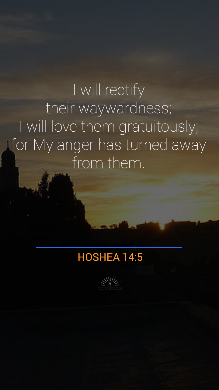 Hosea Chapter 14 | Daily Holy Bible Reading
