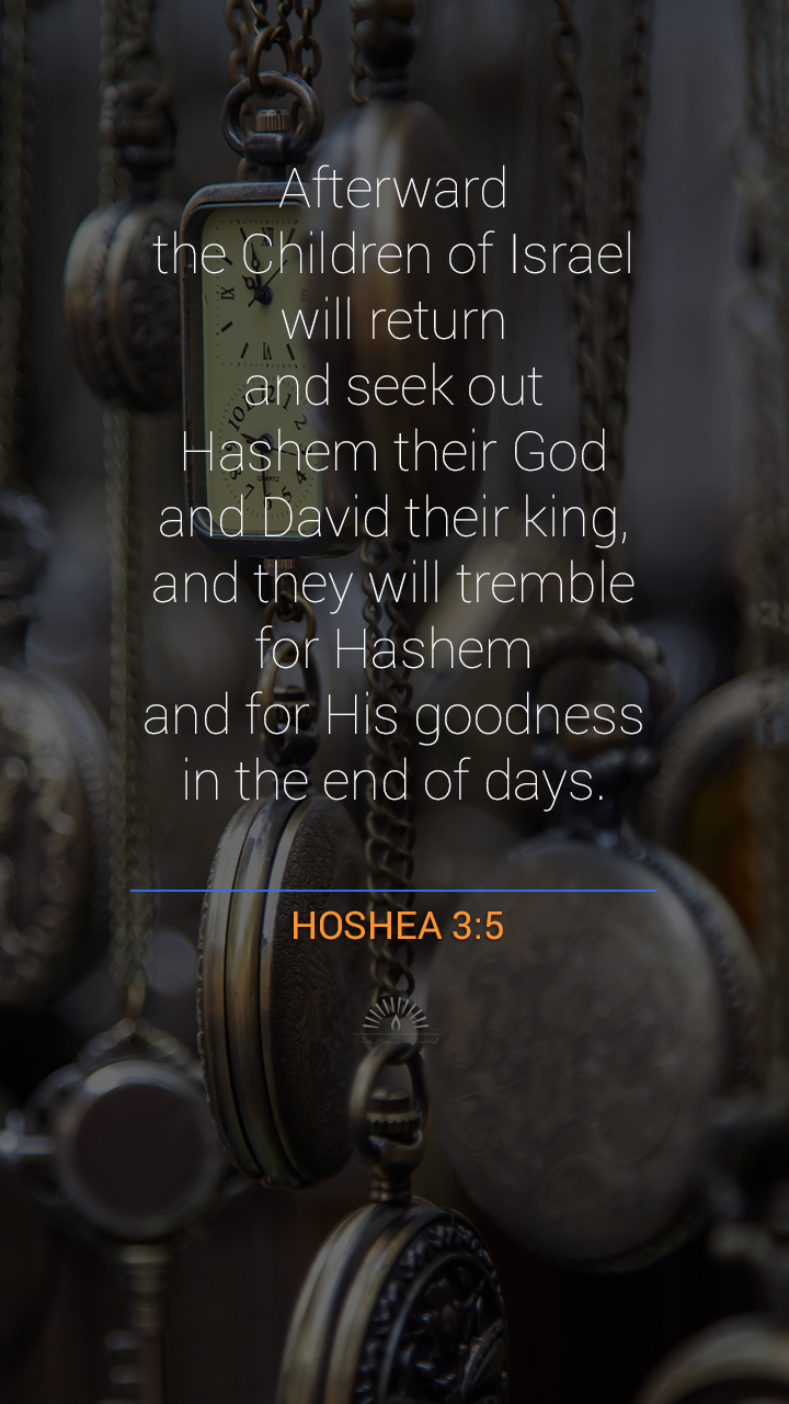 Hosea Chapter 3 | Daily Holy Bible Reading