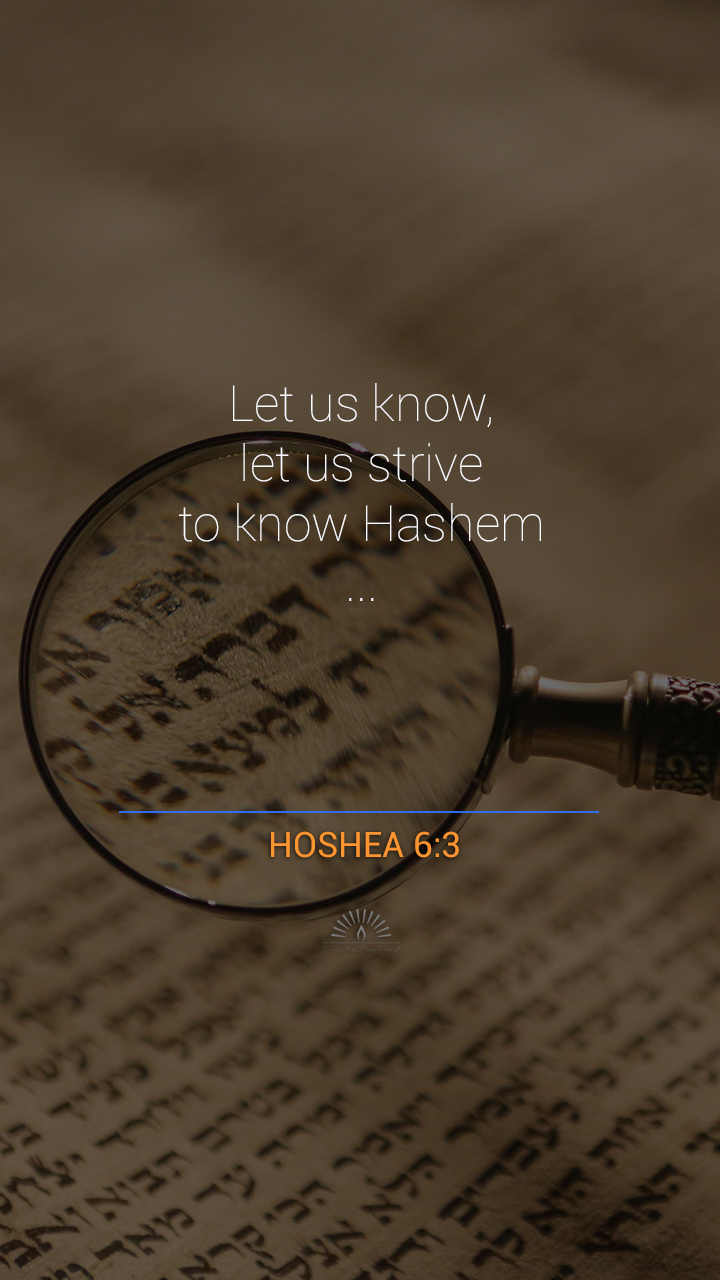 Hosea Chapter 6 Daily Holy Bible Reading