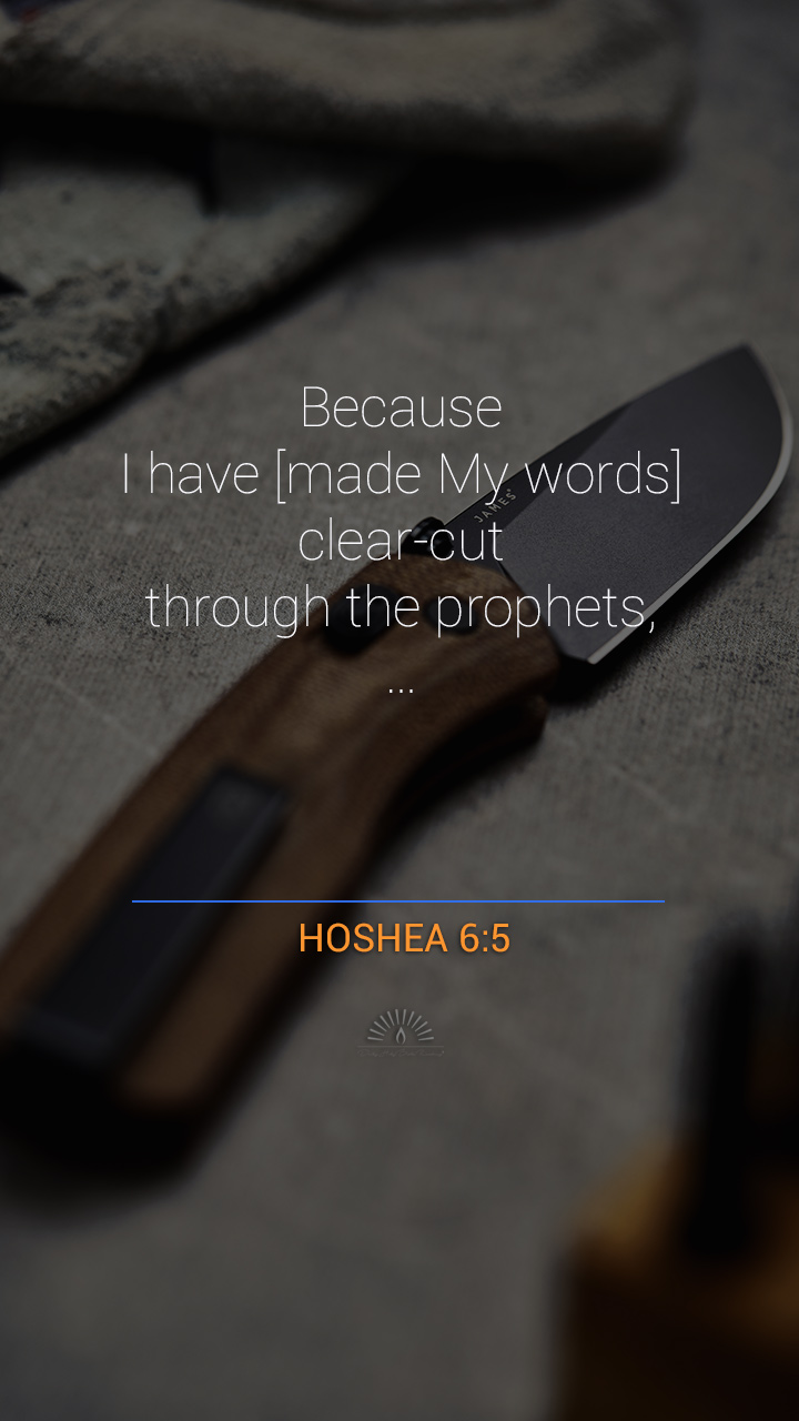Hosea Chapter 6 | Daily Holy Bible Reading