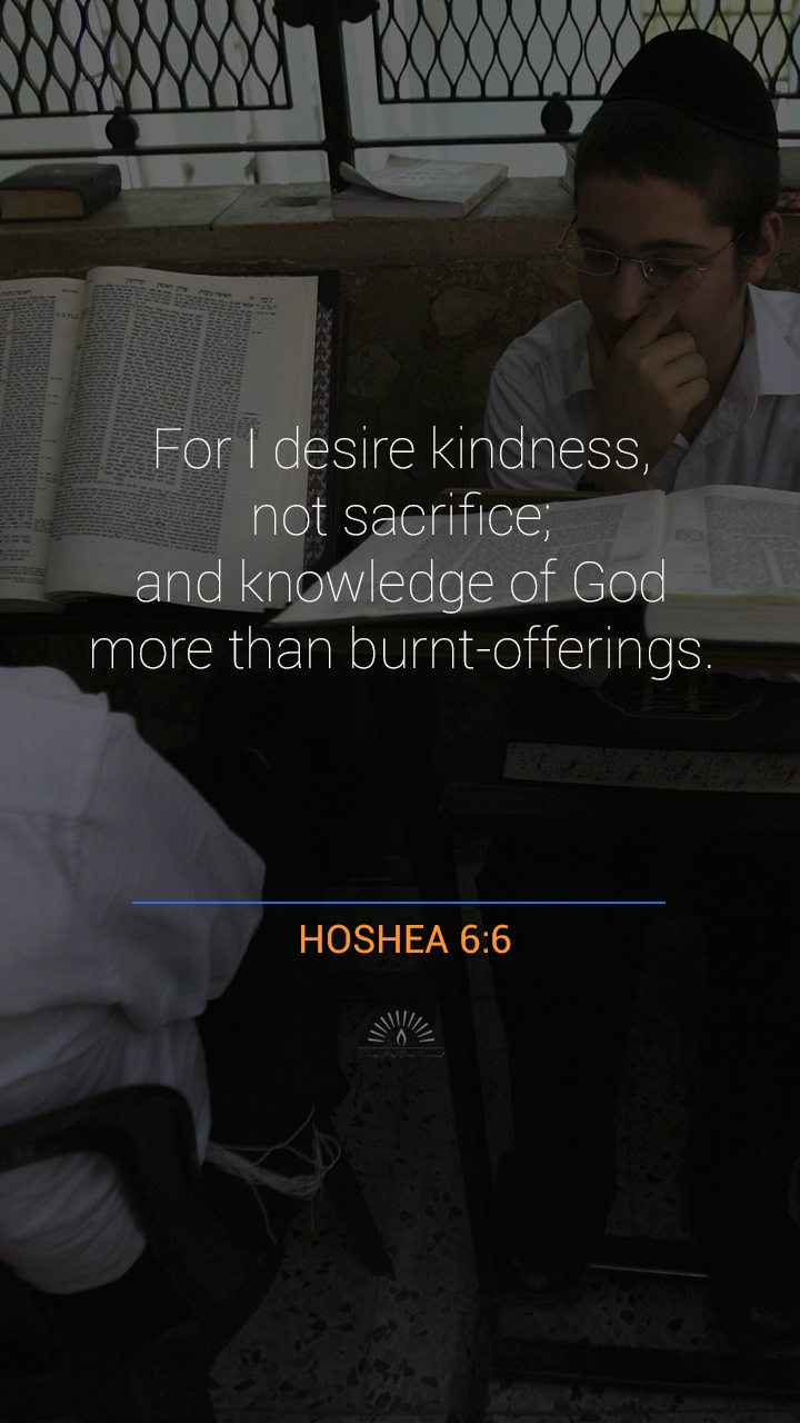 Hosea Chapter 6 | Daily Holy Bible Reading