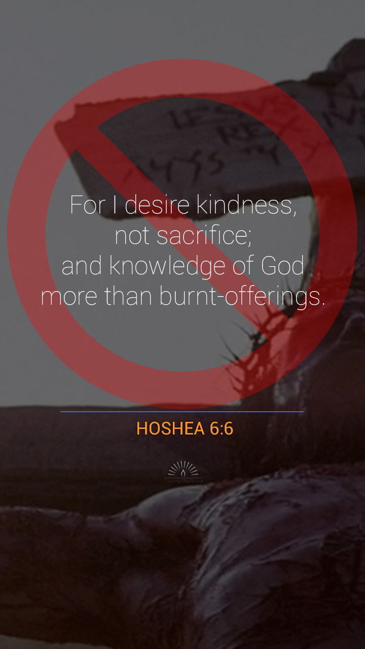 Hosea Chapter 6 | Daily Holy Bible Reading