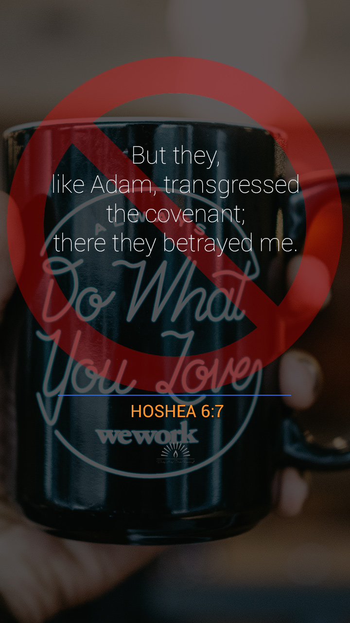 Hosea Chapter 6 | Daily Holy Bible Reading
