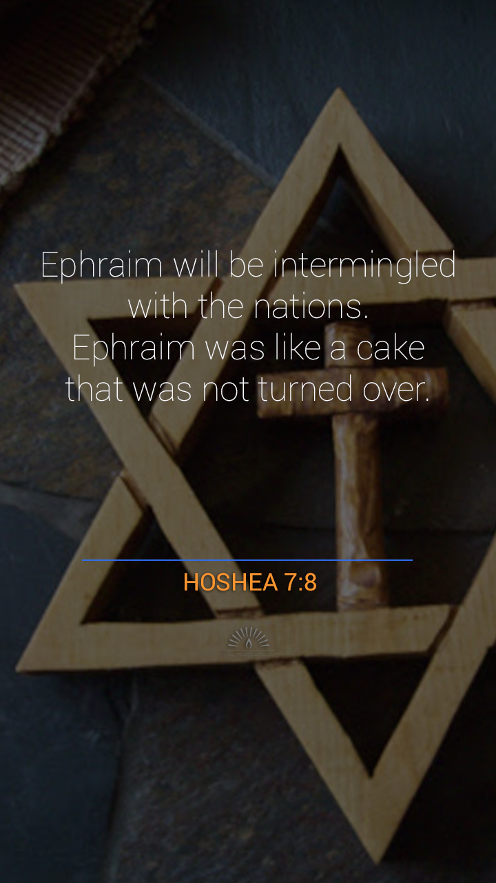 Hosea Chapter 7 | Daily Holy Bible Reading