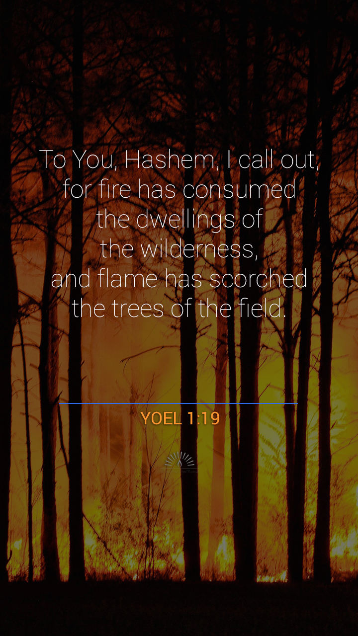 Joel Chapter 1 | Daily Holy Bible Reading