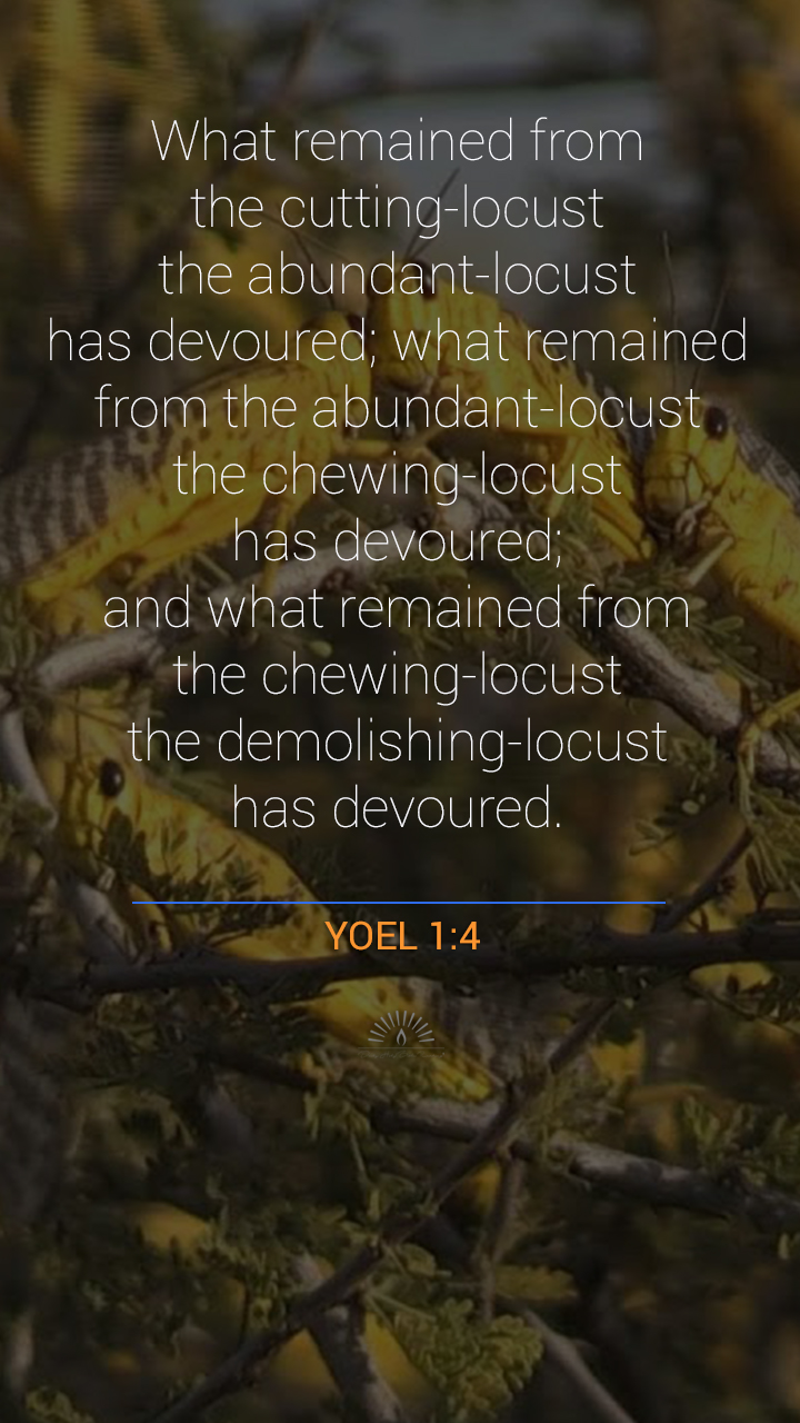 Joel Chapter 1 | Daily Holy Bible Reading