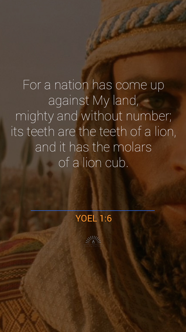 Joel Chapter 1 | Daily Holy Bible Reading