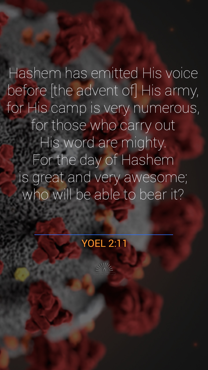 Joel Chapter 2 | Daily Holy Bible Reading