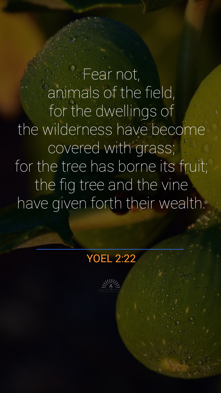 Joel Chapter 2 | Daily Holy Bible Reading