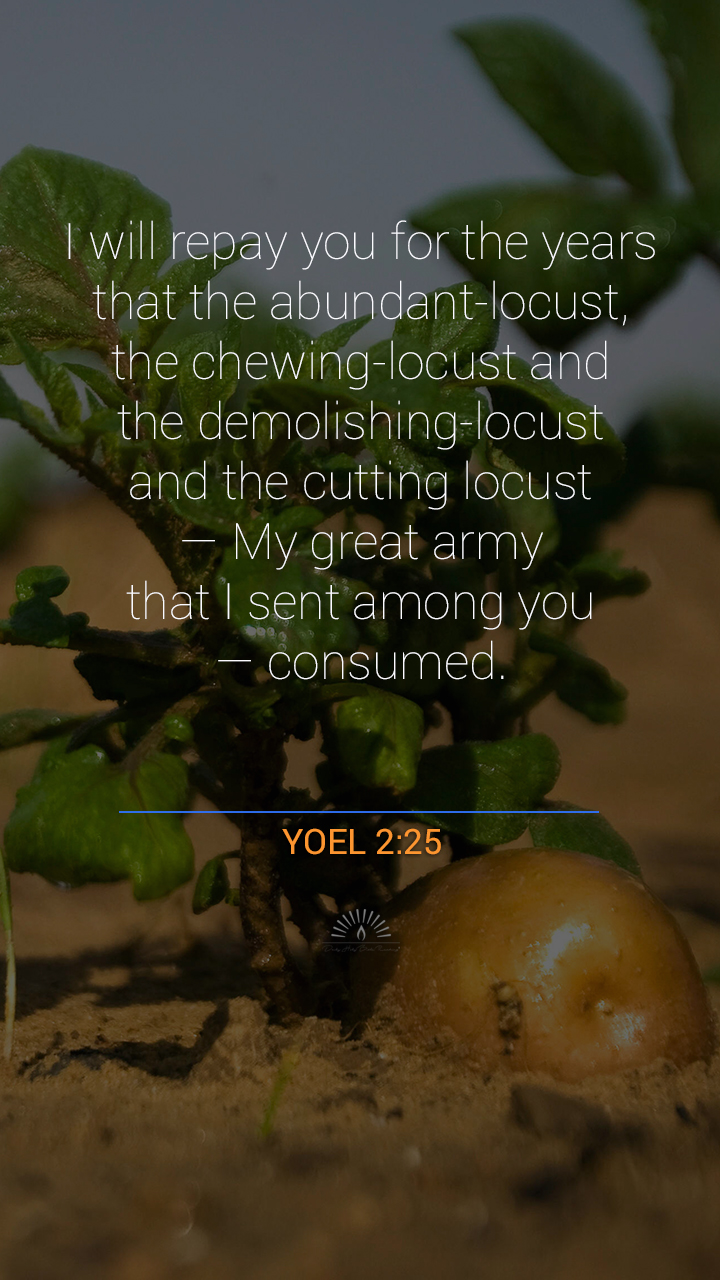 Joel Chapter 2 | Daily Holy Bible Reading