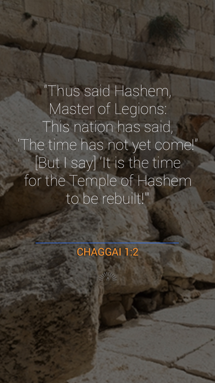 Haggai Chapter 1 | Daily Holy Bible Reading