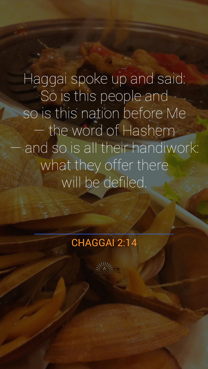 Haggai Chapter 2 | Daily Holy Bible Reading