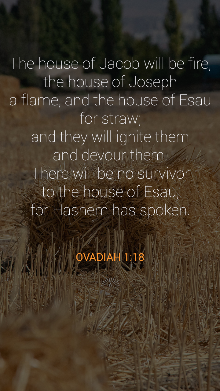 Obadiah Chapter 1 | Daily Holy Bible Reading