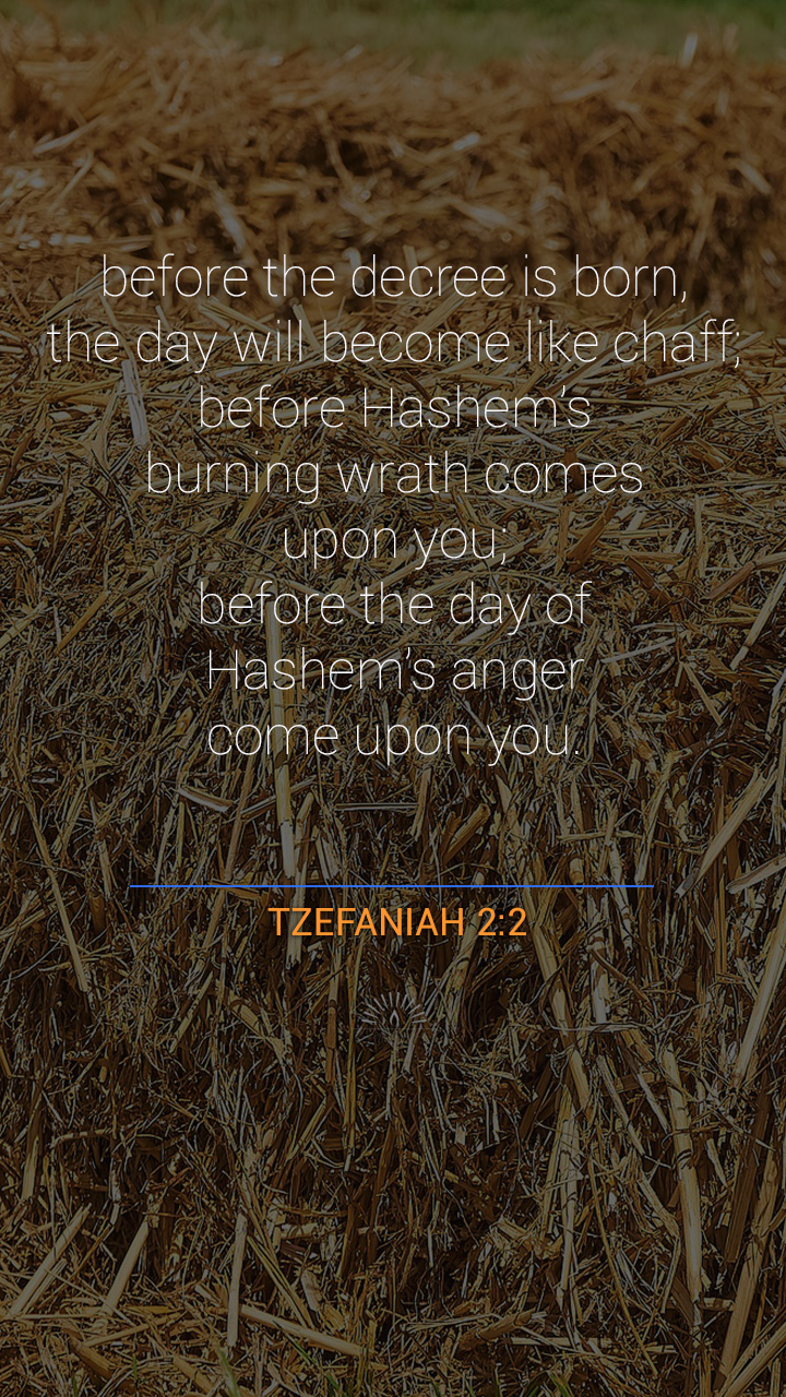 Zephaniah Chapter 2 | Daily Holy Bible Reading