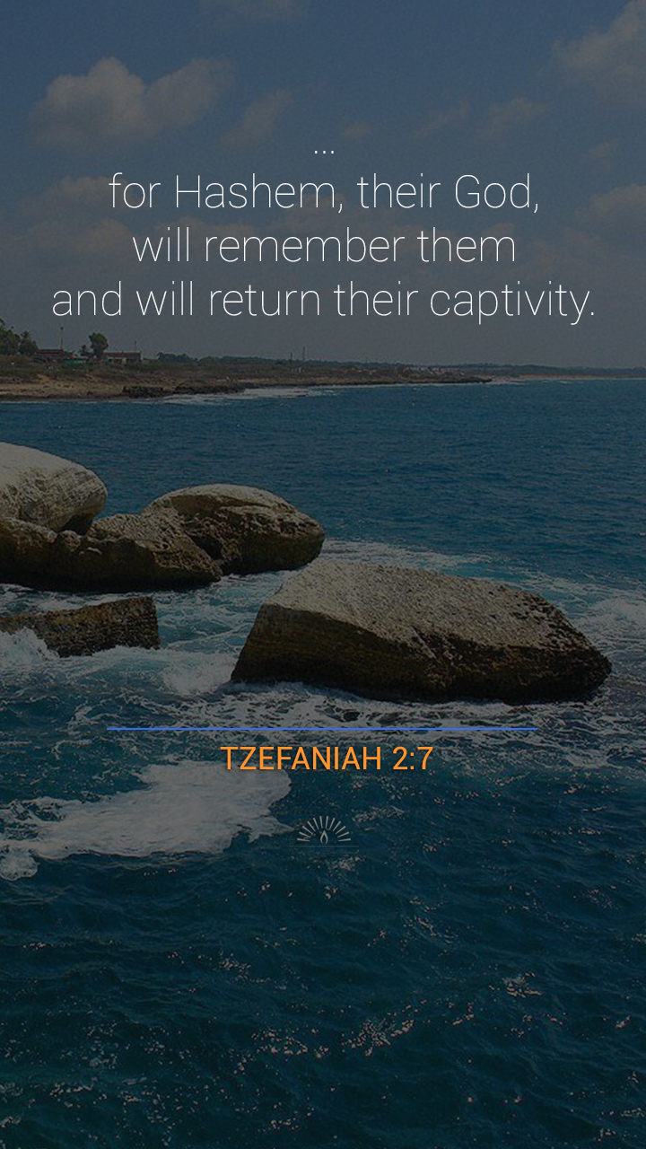 Zephaniah Chapter 2 | Daily Holy Bible Reading
