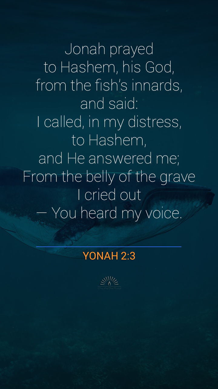 Jonah Chapter 2 | Jonah on Prayers and | One Chapter A Day