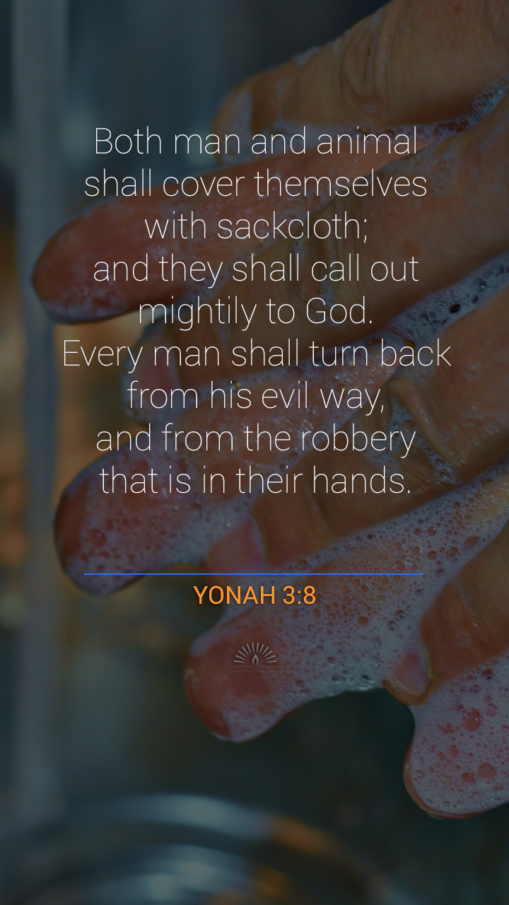 Jonah Chapter 3 | Jonah Clearly Reveals | One Chapter A Day