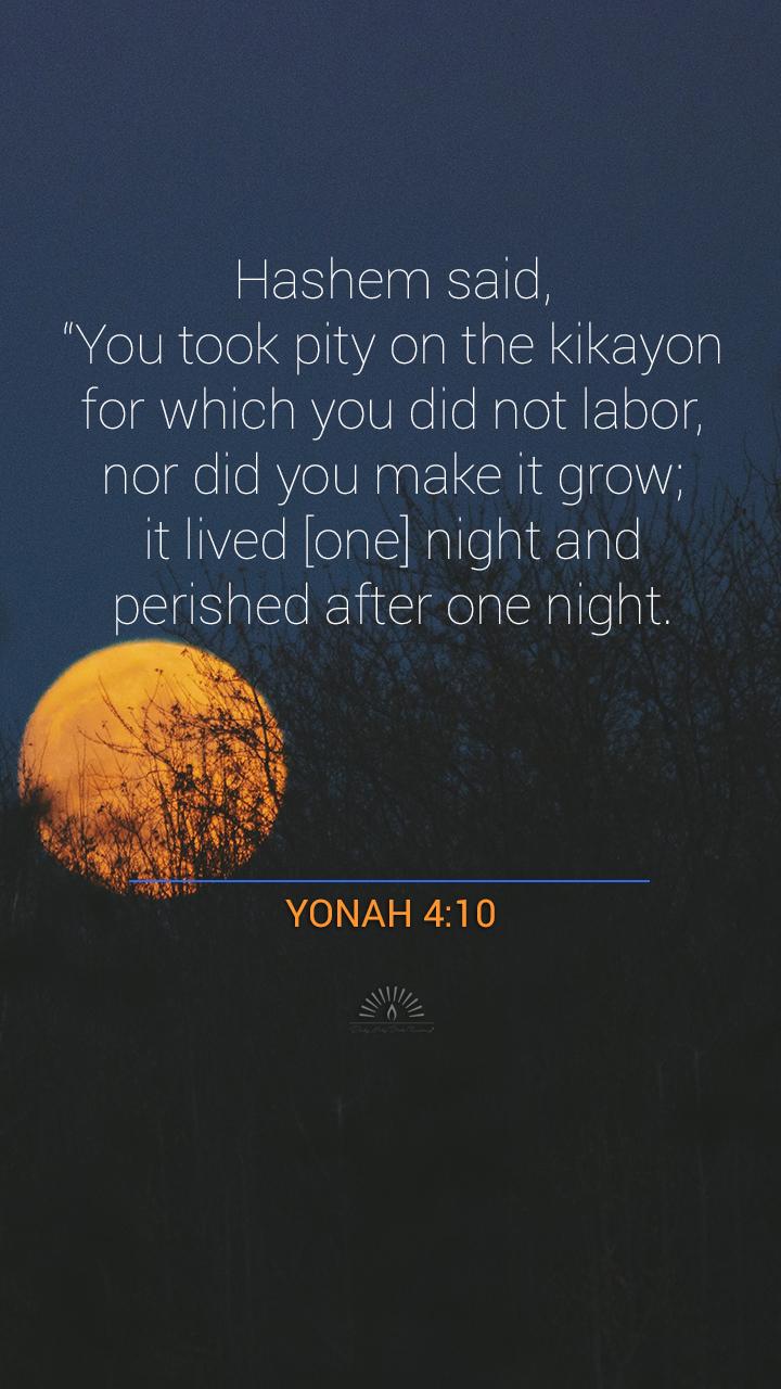 Jonah Chapter 4 | Daily Holy Bible Reading