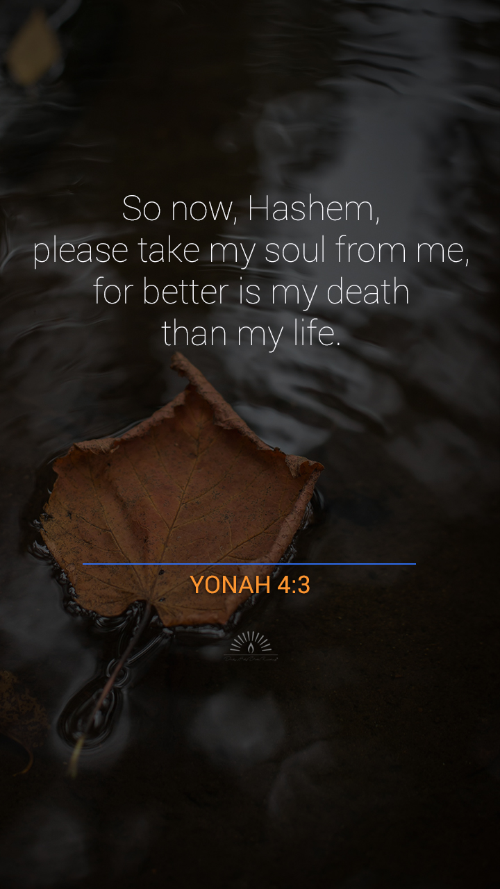 Jonah Chapter 4 | Daily Holy Bible Reading