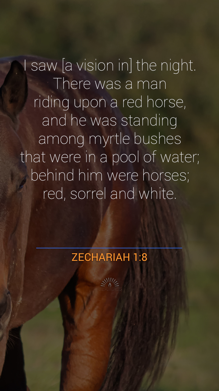 Zechariah Chapter 1 | Daily Holy Bible Reading