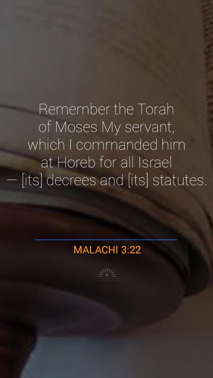 Malachi Chapter 3 | Daily Holy Bible Reading