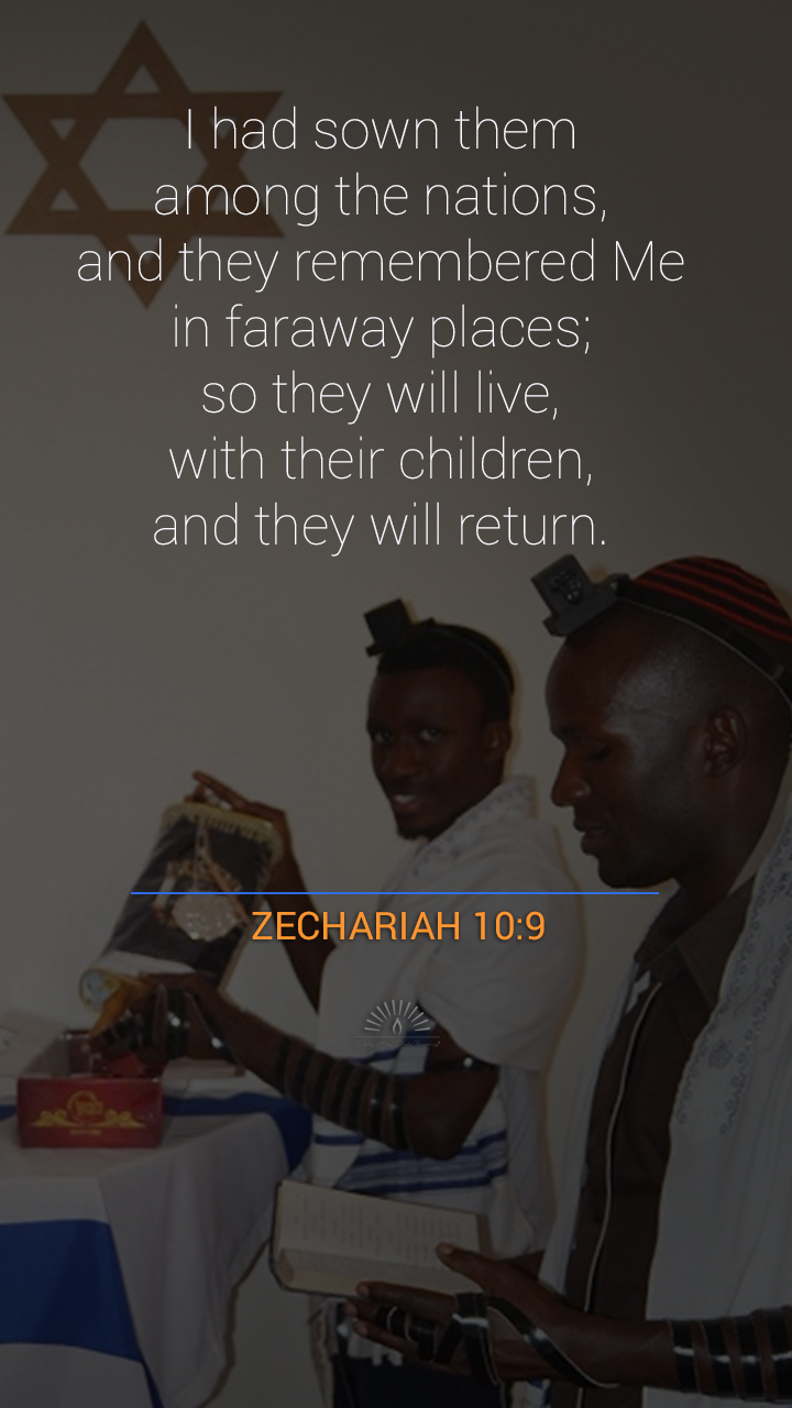 Zechariah Chapter 10 | Daily Holy Bible Reading