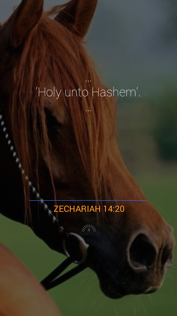 Zechariah Chapter 14 | Daily Holy Bible Reading