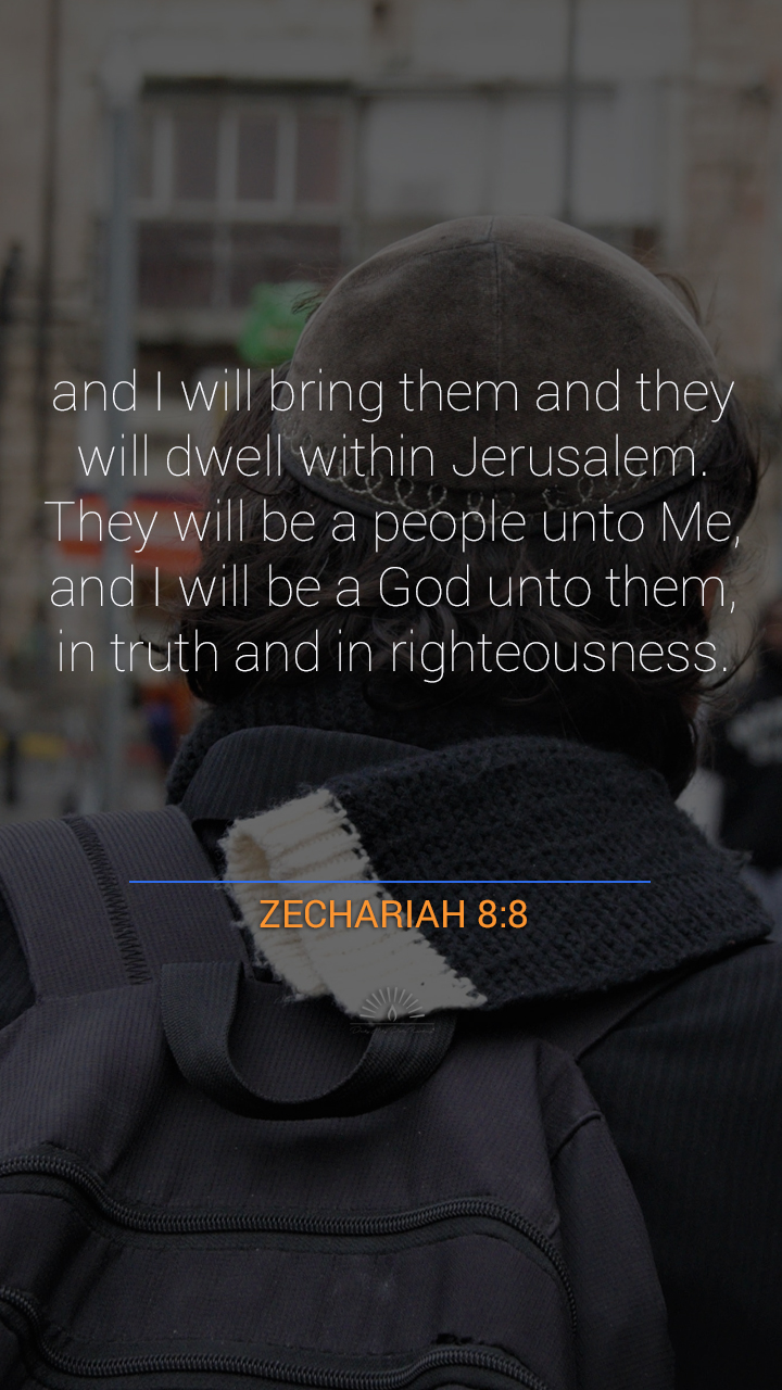 Zechariah Chapter 8 | Daily Holy Bible Reading
