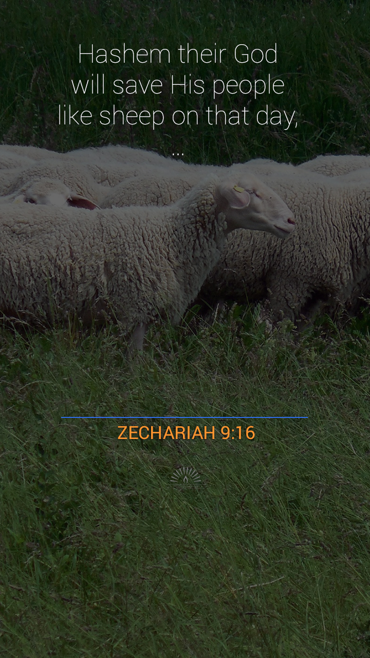 Zechariah Chapter 9 | Daily Holy Bible Reading