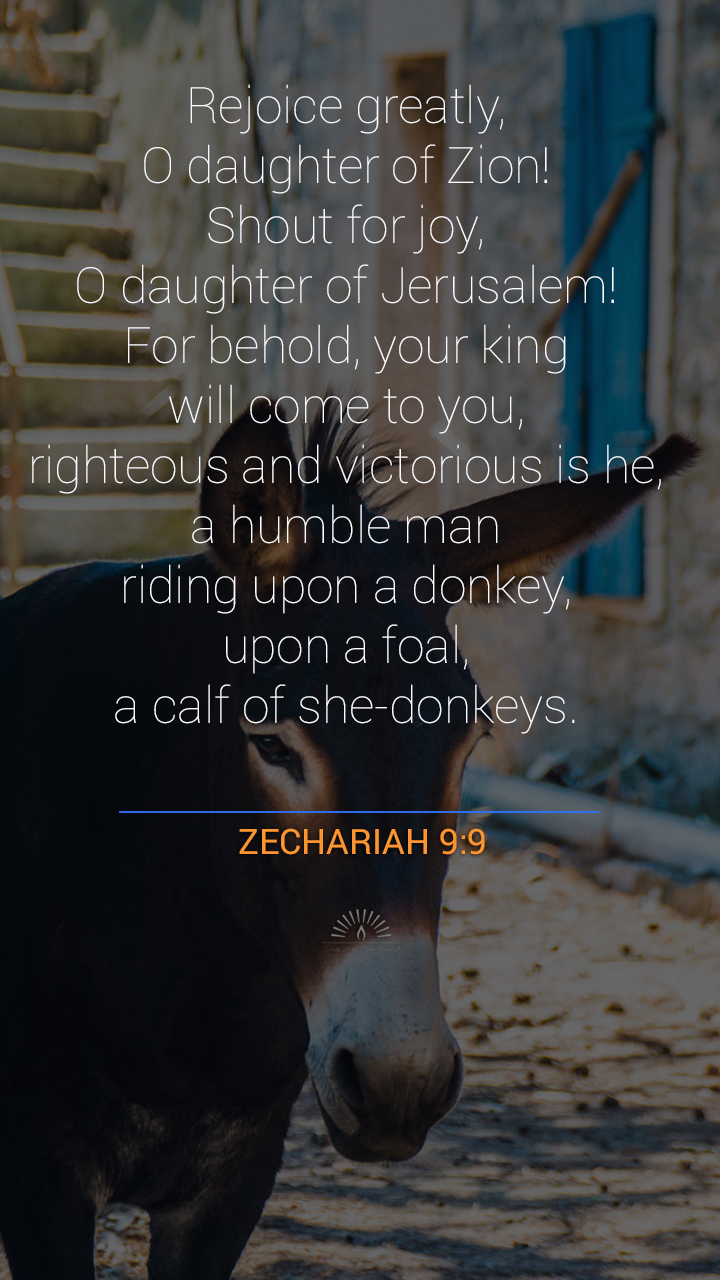 Zechariah Chapter 9 | Daily Holy Bible Reading