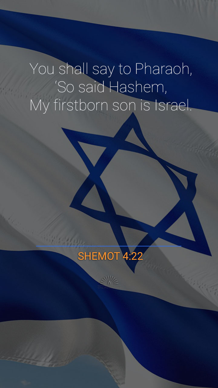 Exodus Chapter 4 | One Chapter A Day